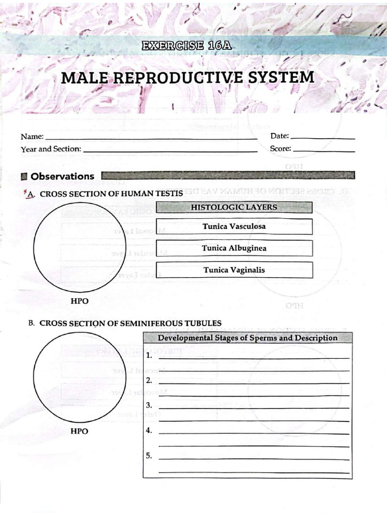 Reproductive Lab Manual | PDF