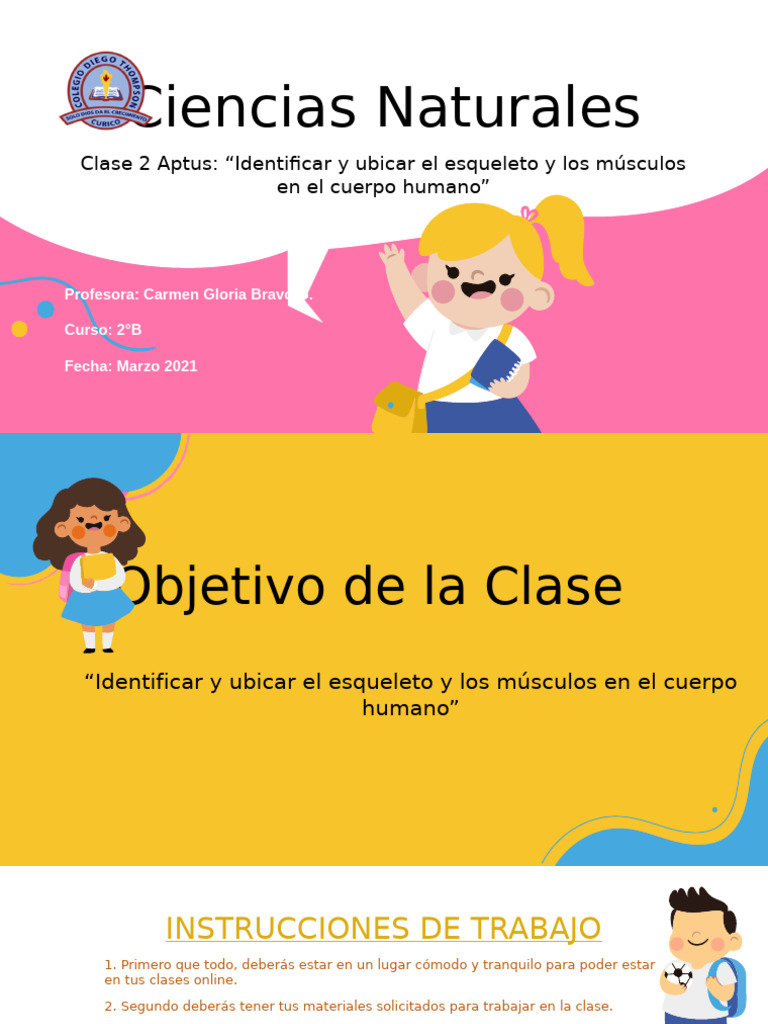 Clase 2 aptus esqueletos y musculos ciencias segundo basico b | PDF | Esqueleto | Morfología ...