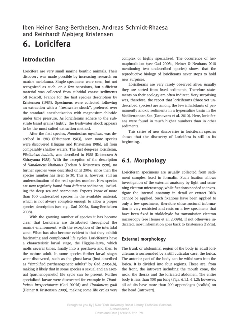 2013 Bang-Berthelsen Et Al Loricifera | PDF | Brain | Anatomical Terms ...