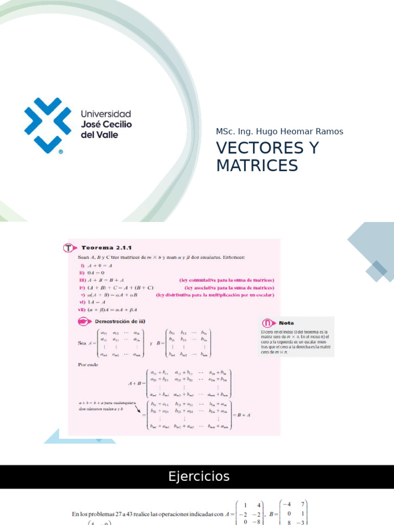 CAPITULO 2 Vectores y Matrices Clase 6 3 | PDF