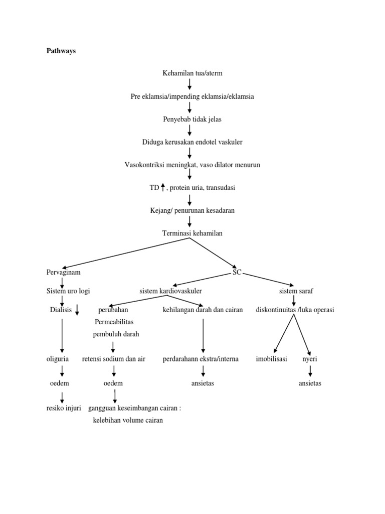 Pathways Pre Eklamsia | PDF