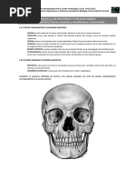 Miotomas - Definición y Pruebas - Kenhub | PDF | Codo | Neuroanatomía