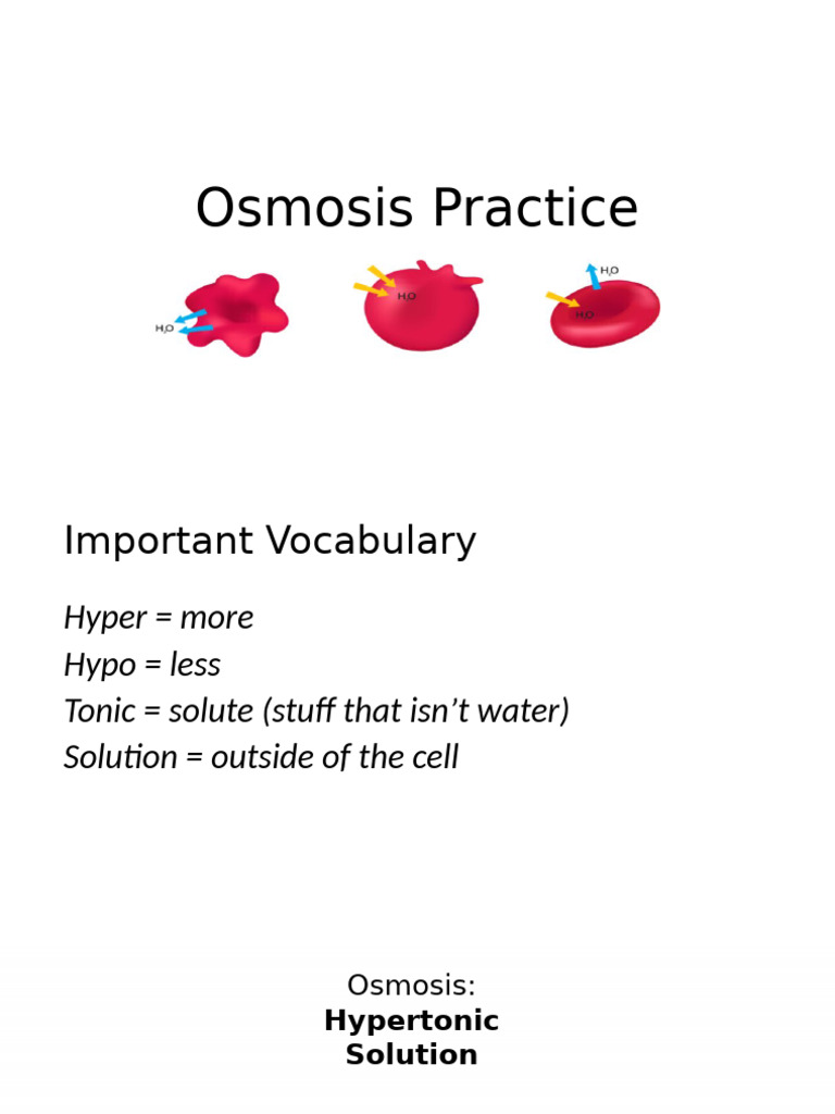 Osmosis Practice | PDF