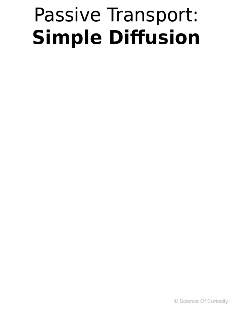 Digital Cell Membrane Model | PDF