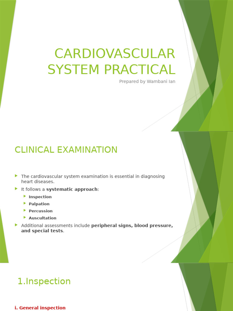 Cardiovascular System Practical | PDF | Heart Valve | Pulse