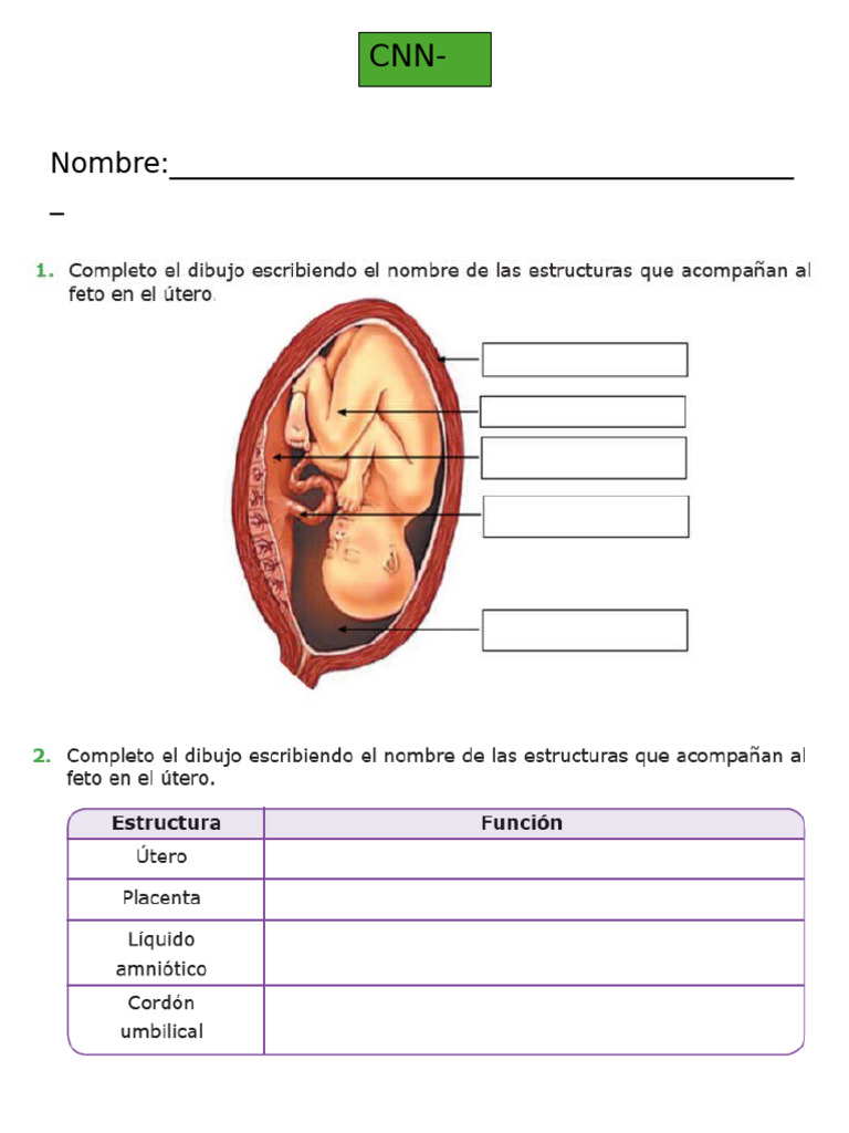 Actividades Educativas para Estudiantes | PDF
