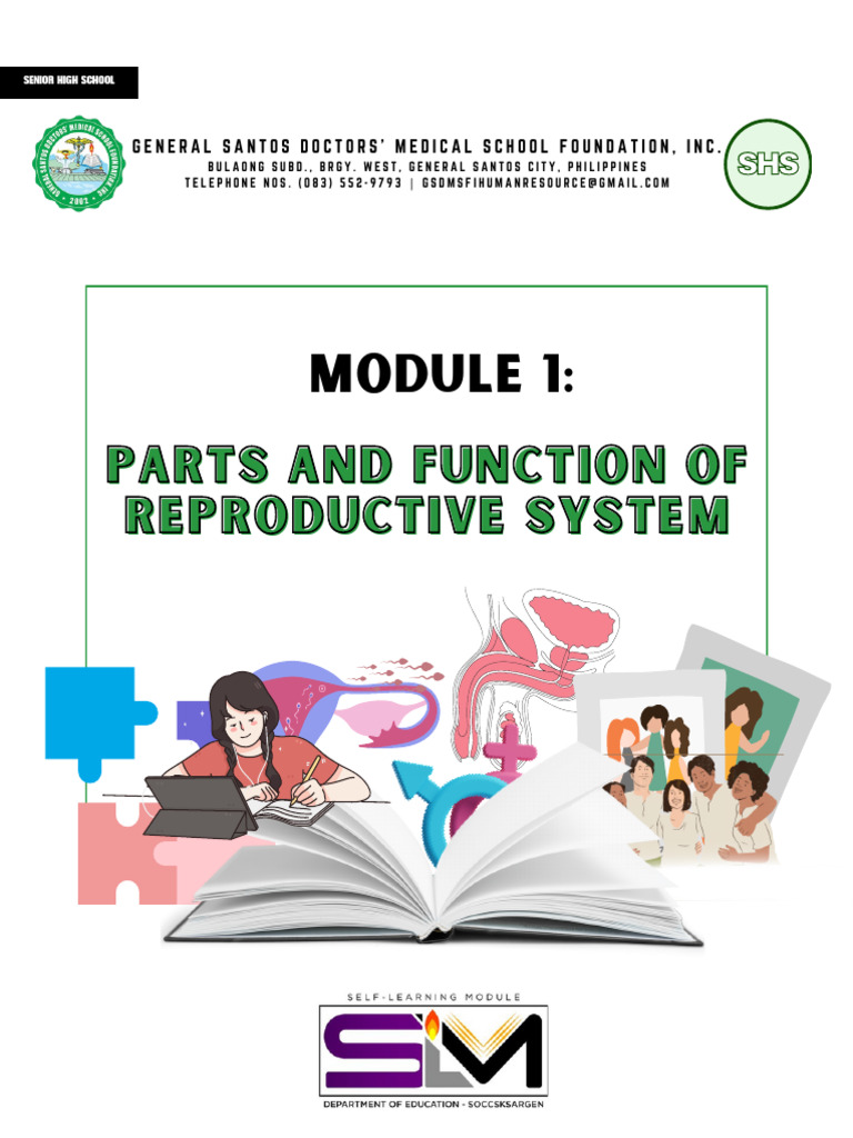 Parts and Functions of Reproductive System | PDF | Menstrual Cycle | Labia