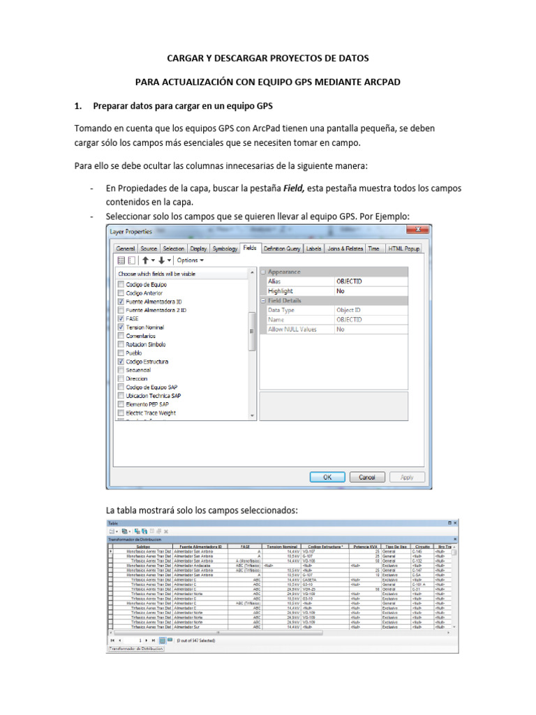 Manual para Cargar y Descargar Datos en ArcPad | PDF | Botón (Computación) | Archivo de computadora