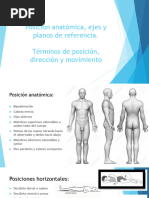 2.LOCALIZACION DE ESTRUCTURAS ANAT+ôMICAS - Terminos de Posici+ N y Direccion. | PDF | Términos ...