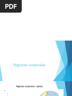 LOCALIZACI+ôN DE ESTRUCTURAS ANAT+ôMICAS. Cavidades Corporales. | PDF | Abdomen | Tórax