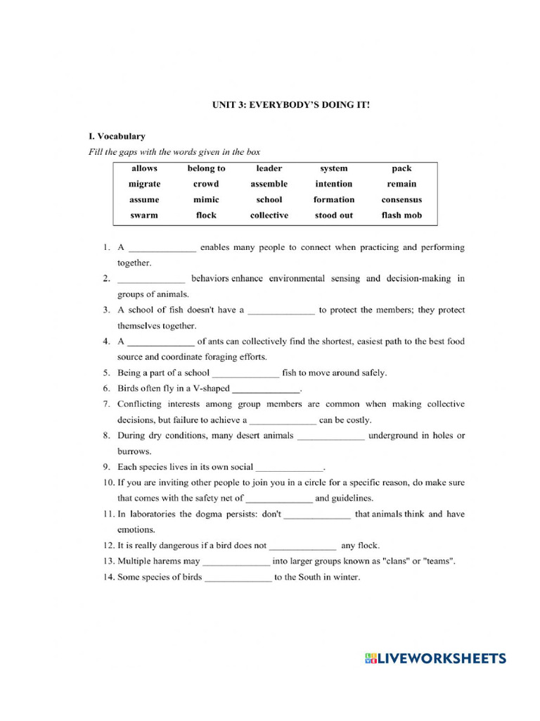 Impulse 3 Unit 3 Vocabulary Pdf