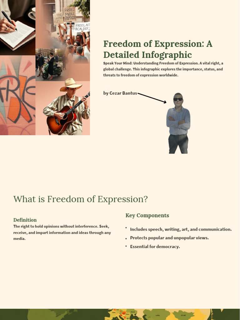 Freedom of Expression Infographic Guide | PDF