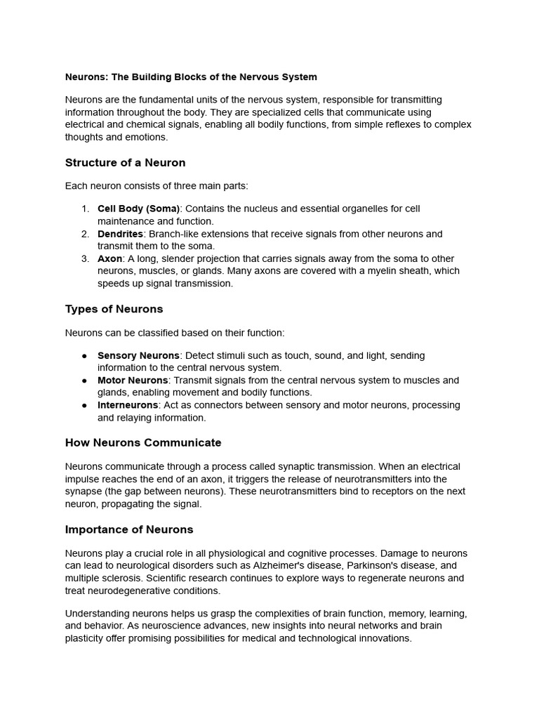 Neurons The Building Blocks Of The Nervous System Pdf