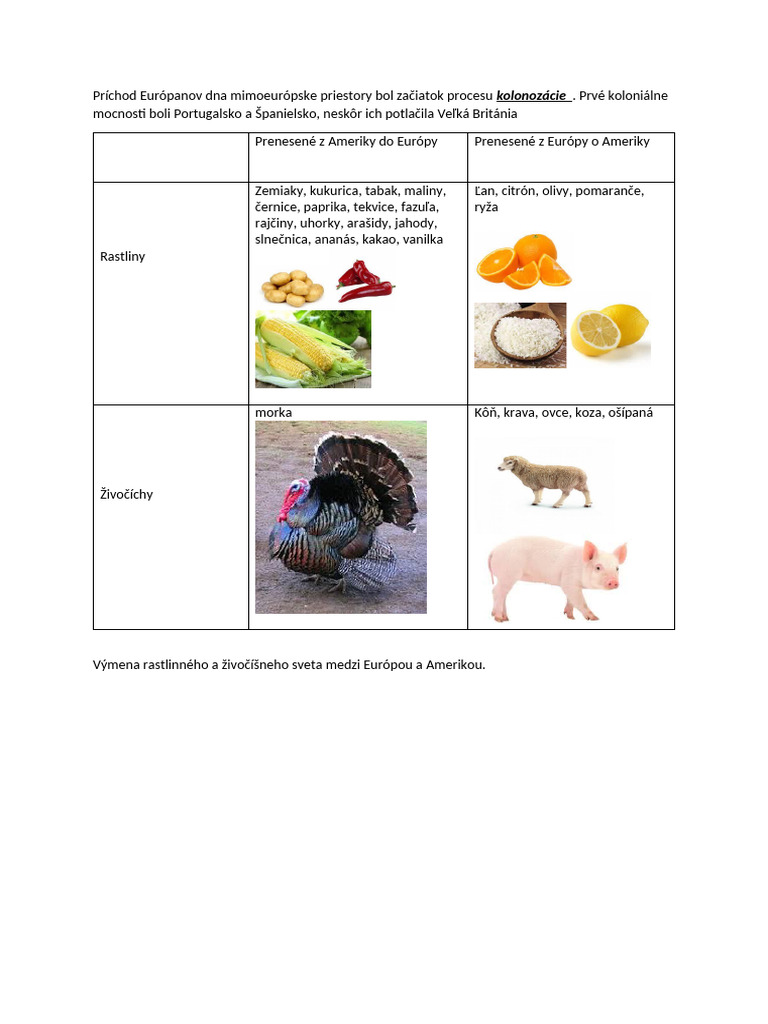 Text Novovek Plakat | PDF