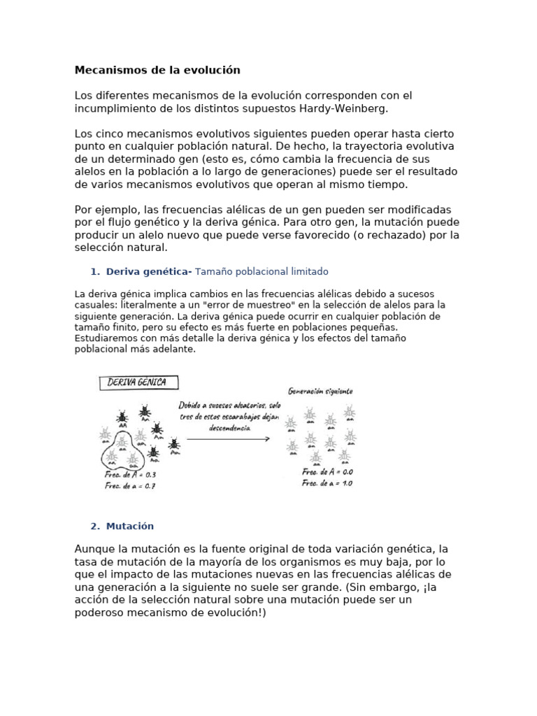 Mecanismos de la evolución explicados | PDF | Evolución | Gene