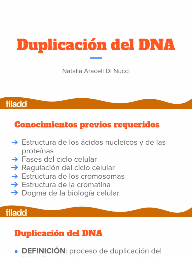 Duplicacion Del DNA 2 | PDF | Replicación De Adn | Adn