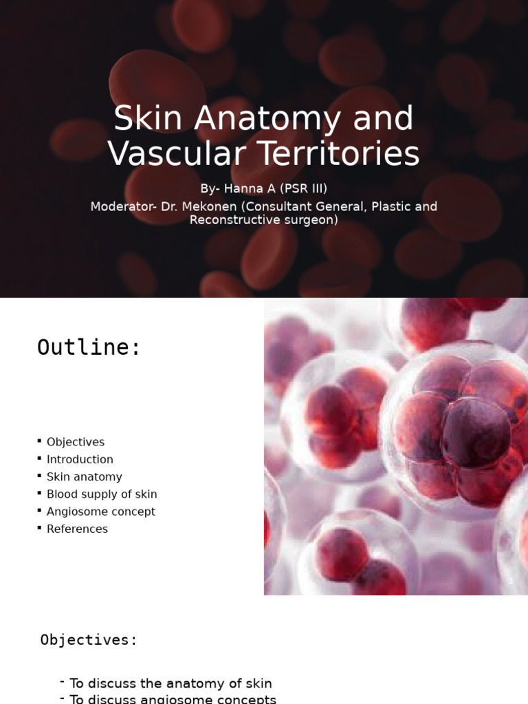 Skin Anatomy & Vascular Territories | PDF | Vein | Skin