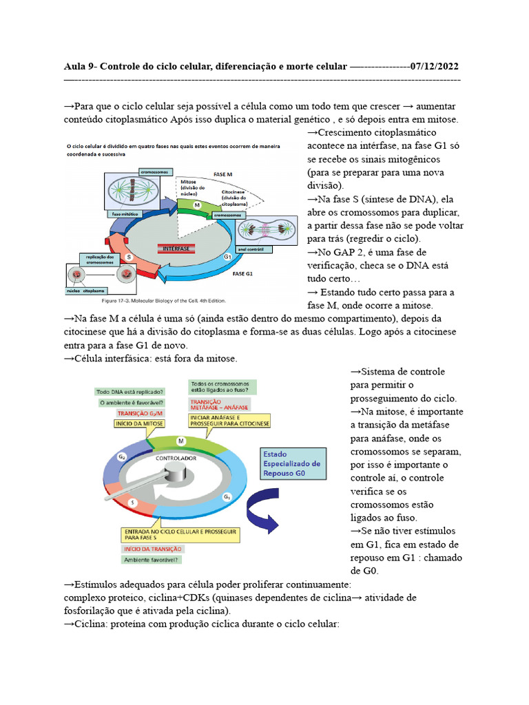 Controle do Ciclo Celular e Mitose | PDF | Ciclo de célula | Mitose