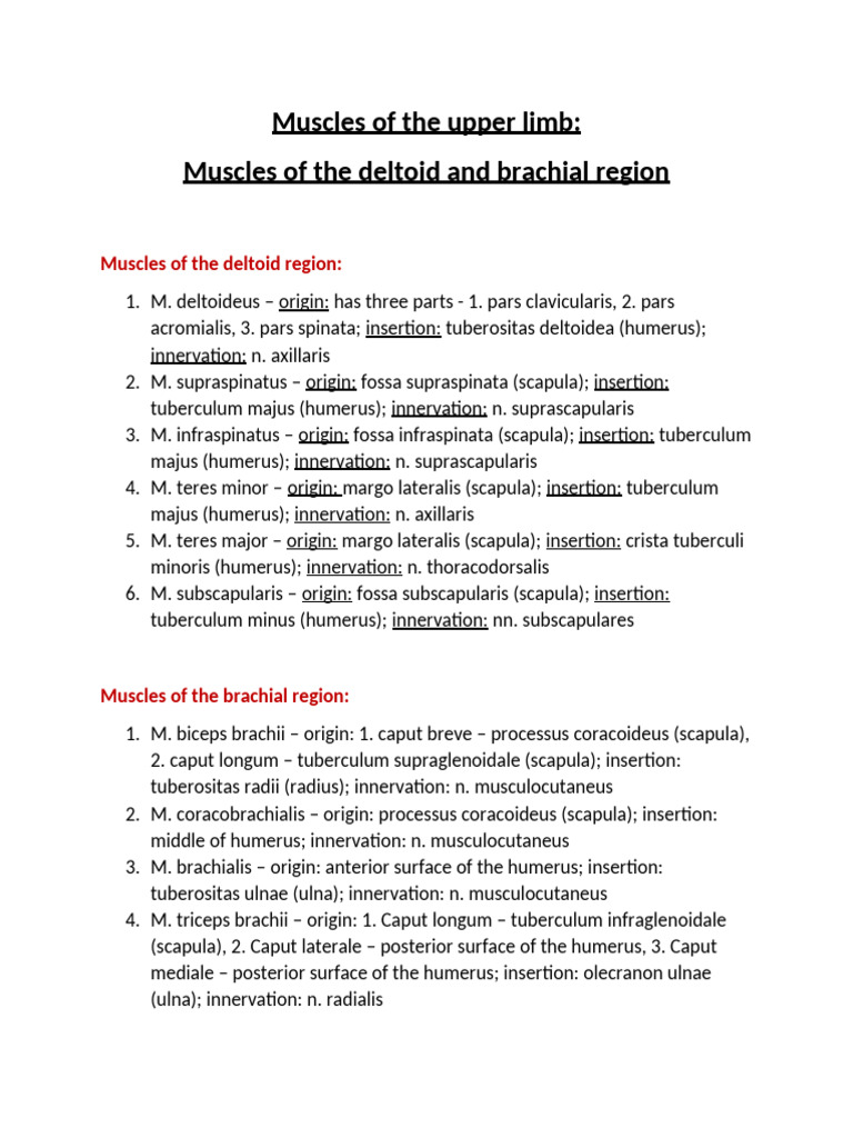 Upper Limb Deltoid Region and Brachium | PDF