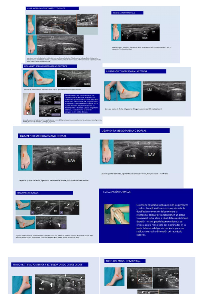 PROTOCOLO DE EXPLORACION DE TOBILLO | PDF