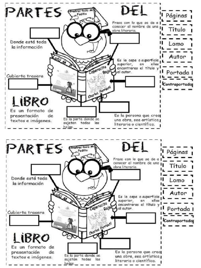 actividades de partes dekl libro | PDF