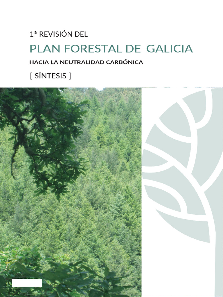 Plan Forestal | PDF | Sustentabilidad | Los bosques