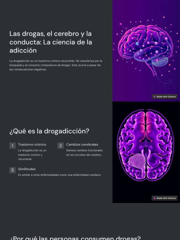 Las Drogas El Cerebro y La Conducta La Ciencia de La Adiccion | PDF