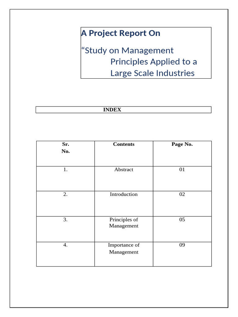Management Microproject New | PDF | Economies | Business