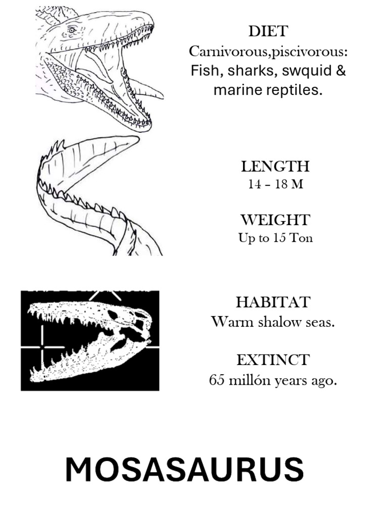 Mosasaurus Imprimir | PDF