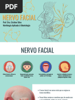Anatomia e Função do Nervo Facial | PDF | Anatomia | Sistema nervoso