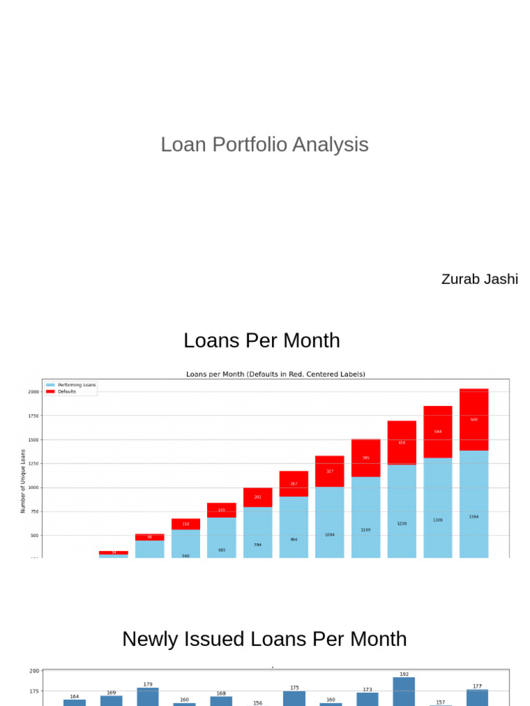 Loan Portfolio Analysis | PDF