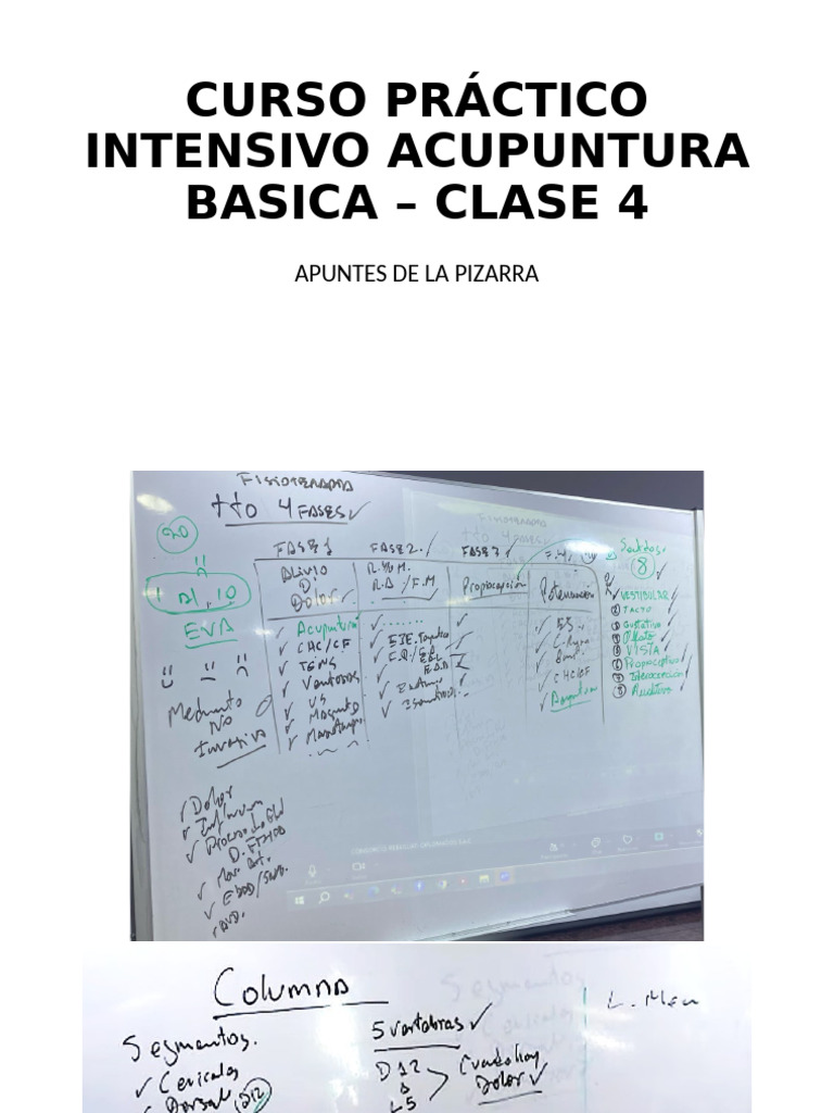 Curso Práctico Intensivo Acupuntura Basica - Clase 4 | PDF