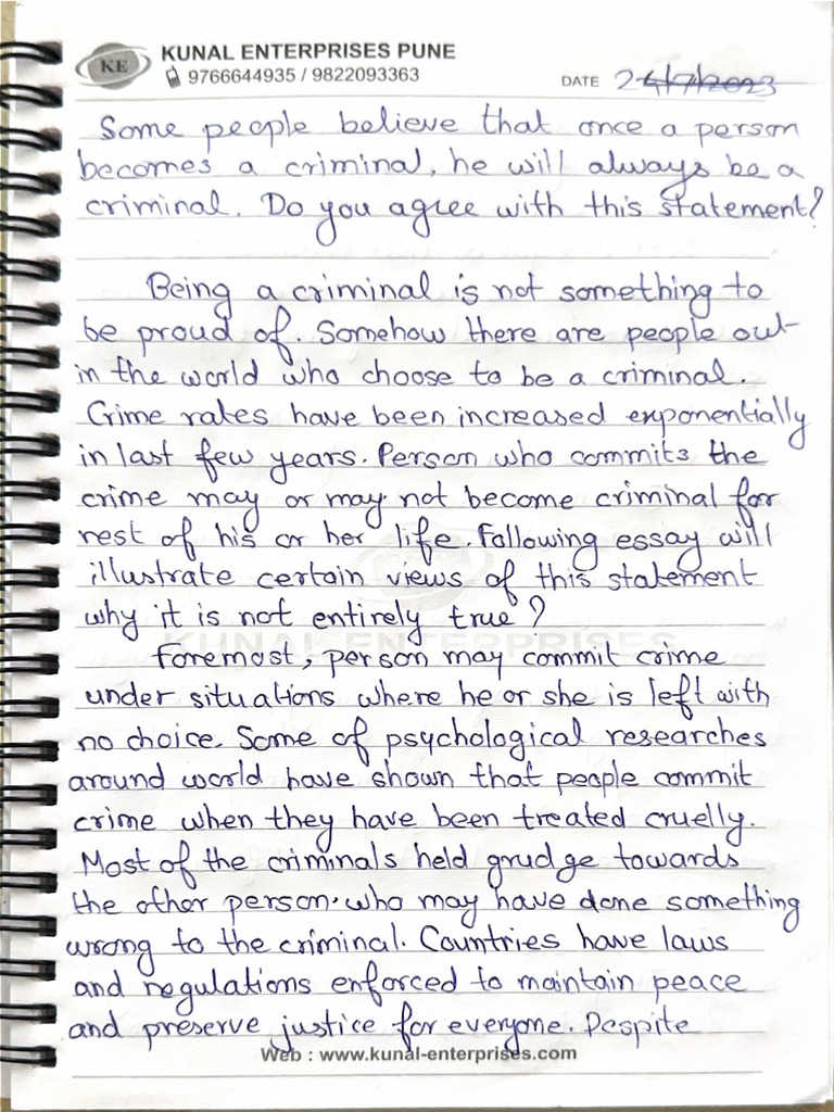 Essay Assignment 1 | PDF