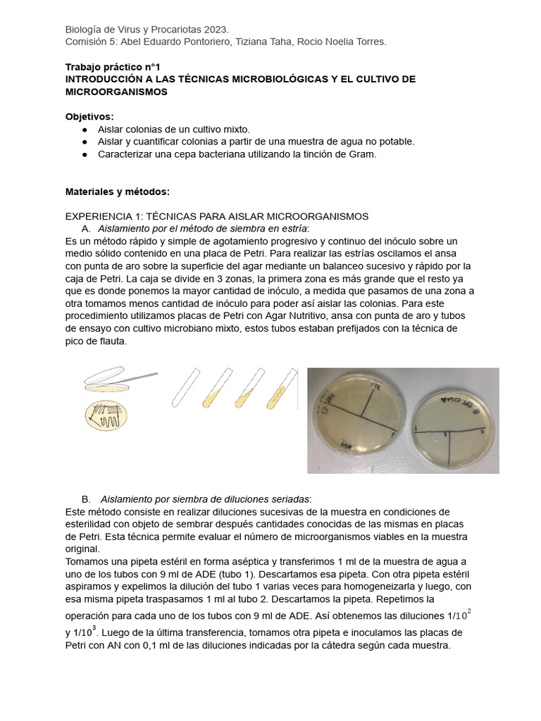 INFORME TP N°1 - Comisión 5 | PDF | Tinción | Las bacterias