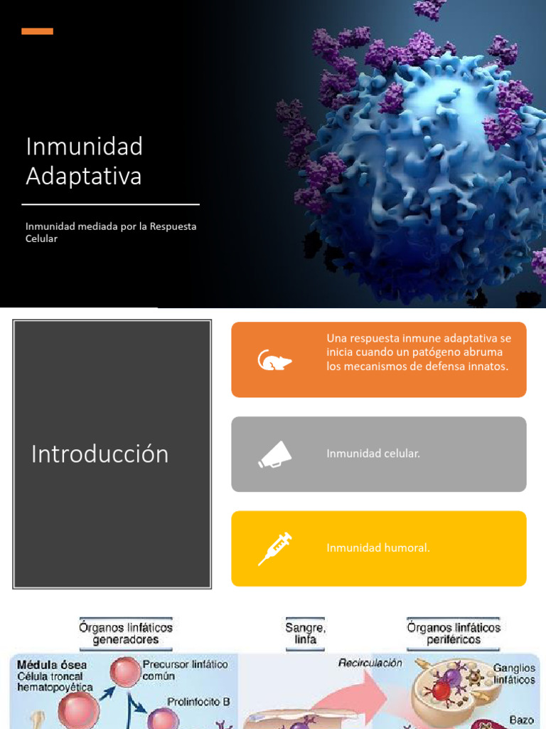 Inmunidad Adaptativa, Inmunidad Mediada Por Células | PDF