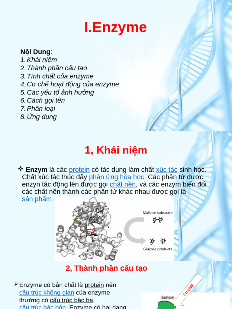 Enzyme | PDF