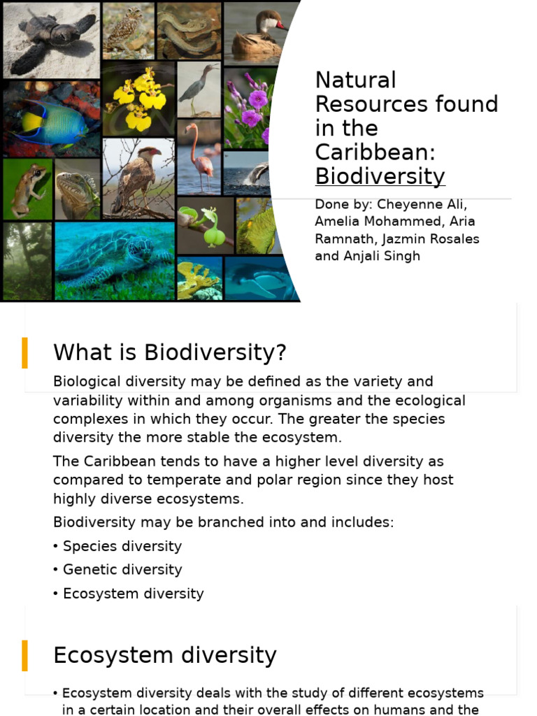 Environmental Science Presentation | PDF | Biodiversity | Agriculture
