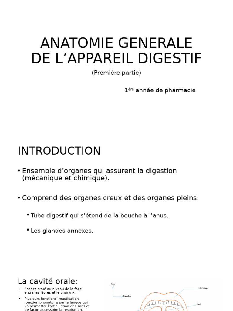 Apparei L Digestif Pharma Cie 1 | PDF | Œsophage | Rectum