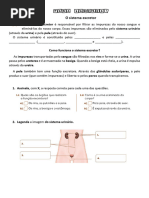Ficha de Trabalho - O Sistema Excretor 4ANO | PDF