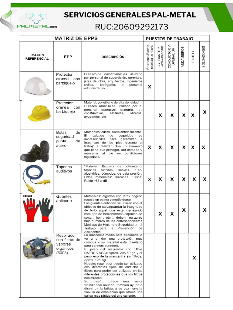 13.13 MATRIZ DE EPPS | PDF