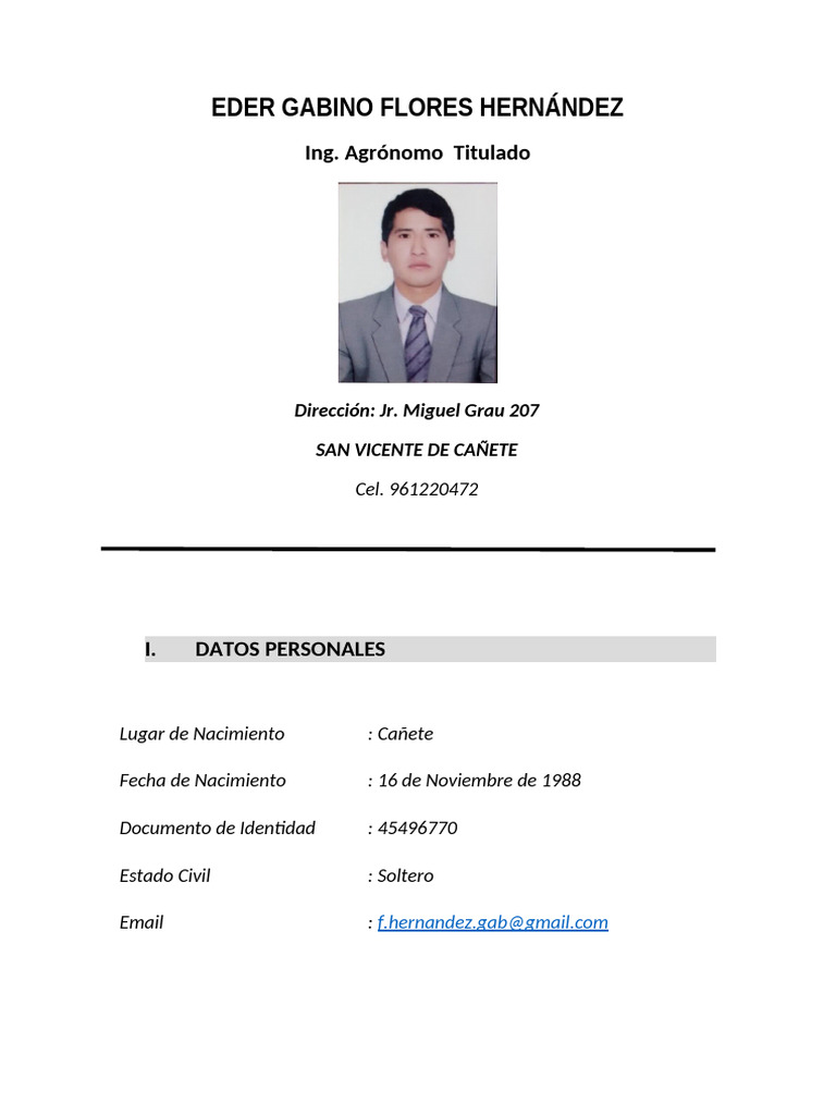 CV Eder Flores 2024 | PDF