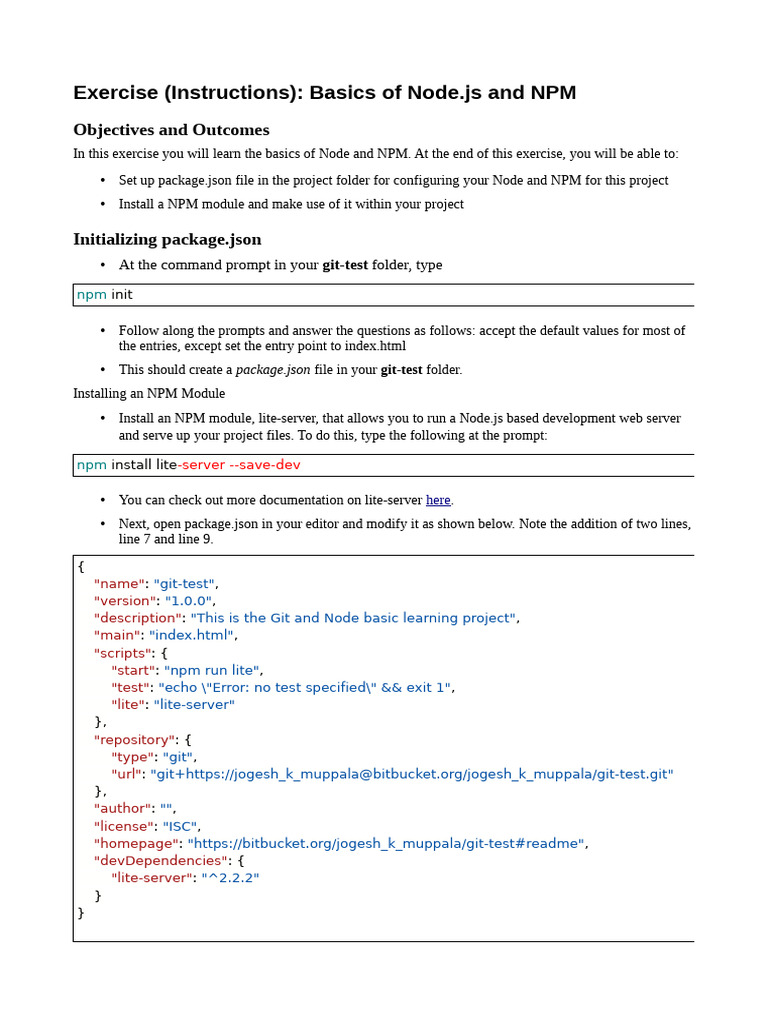 13 - Instructions Basics of Node - Js and NPM | PDF | Utility Software | System Software