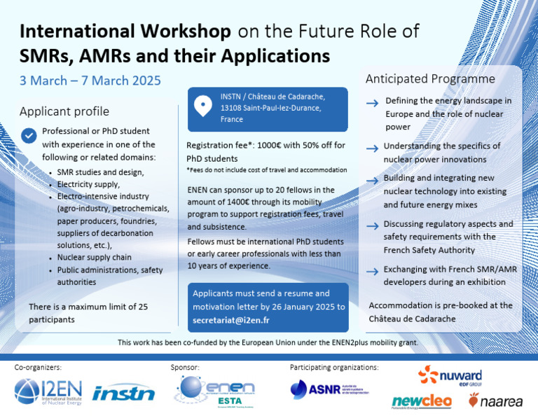 I2EN SMR AMR Workshop March 2025 | PDF