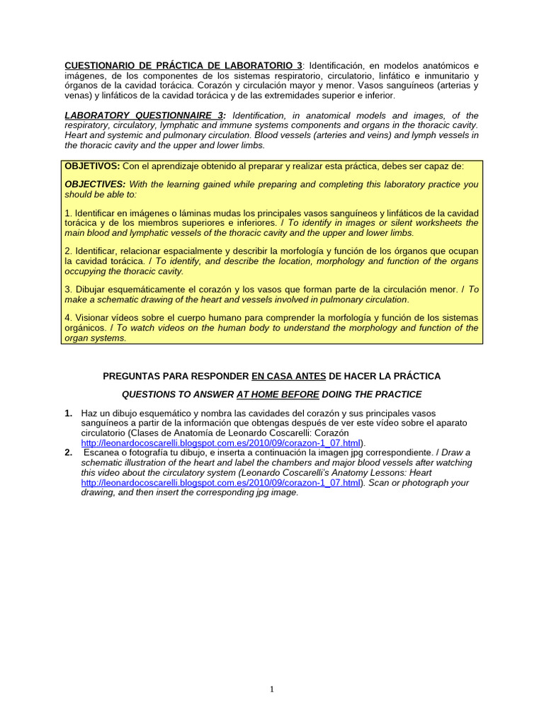 PL3 Cuestionario | PDF | Sistema linfático | Especialidades Medicas