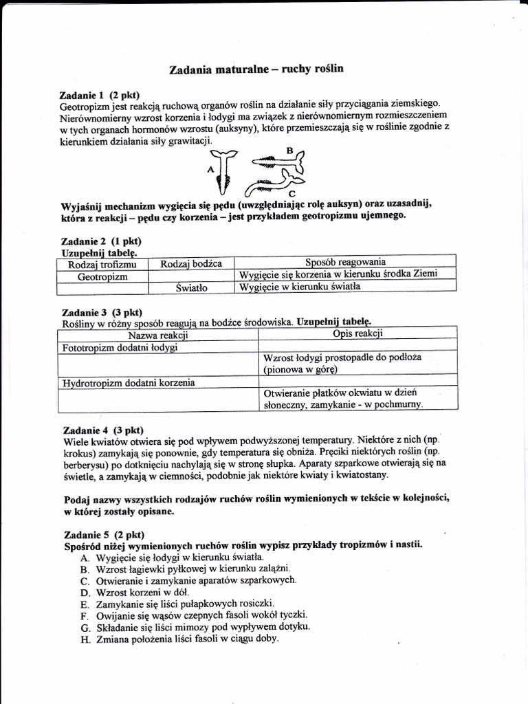 zad mat ruchy roślin | PDF