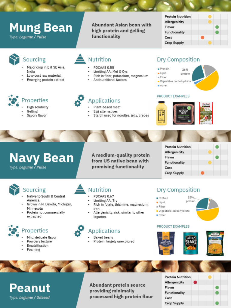 Plant Protein Primer GFI (24-31) | PDF | Legume | Dietary Fiber