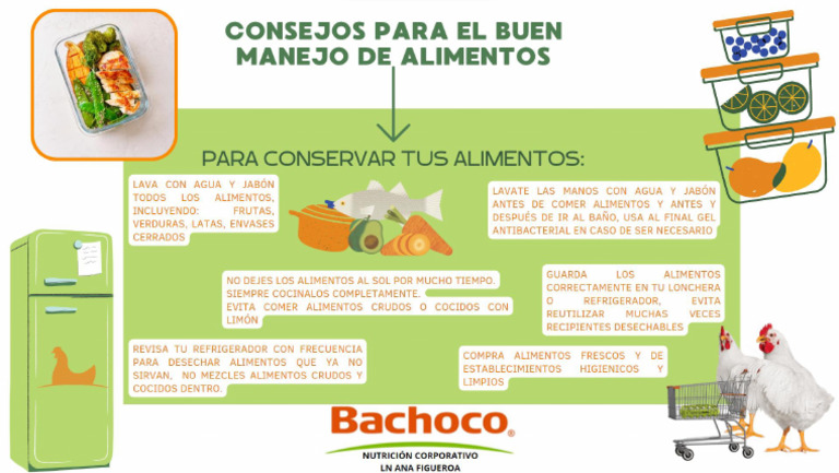 Inocuidad de los alimentos, TRIPTICO | PDF
