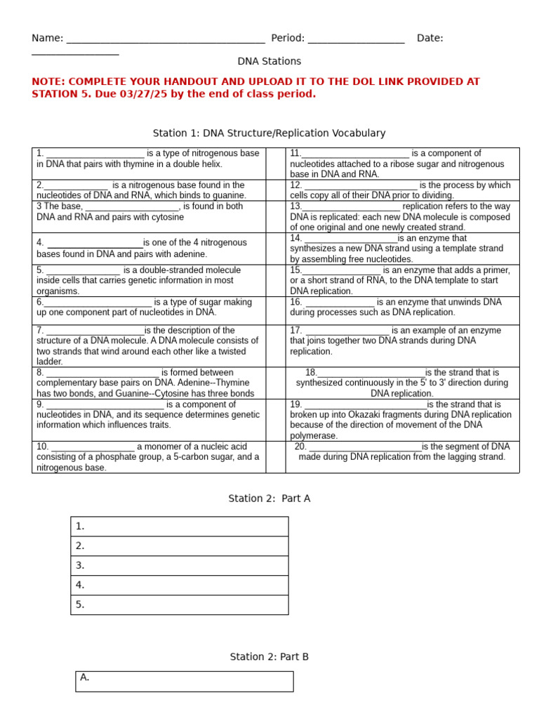 DNA Structure and Replication Stations | PDF | Dna | Dna Replication