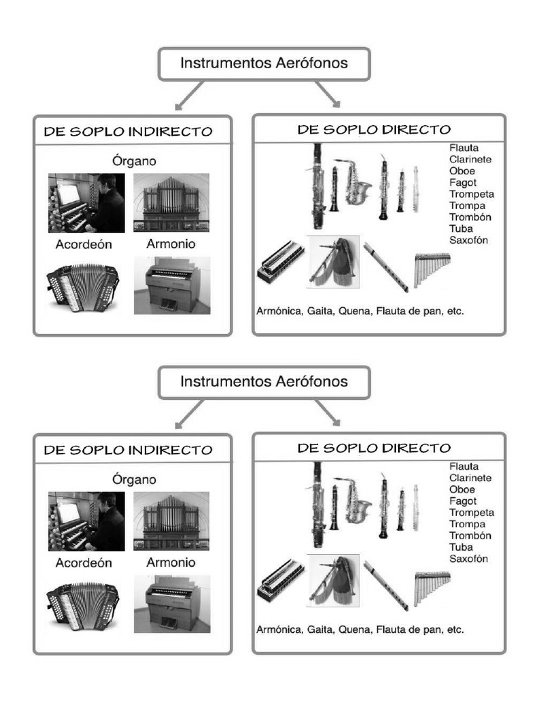 Aerofonos | PDF