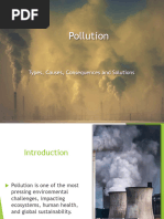 Pollution Presentation | PDF